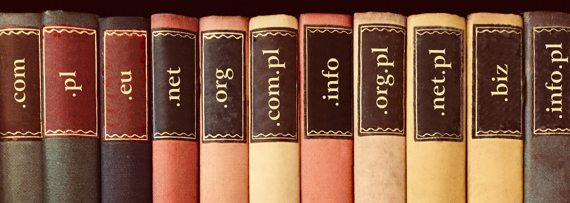 Domena. Nowa domena pl,eu. Tania domena promocja domen www, domena EU ...